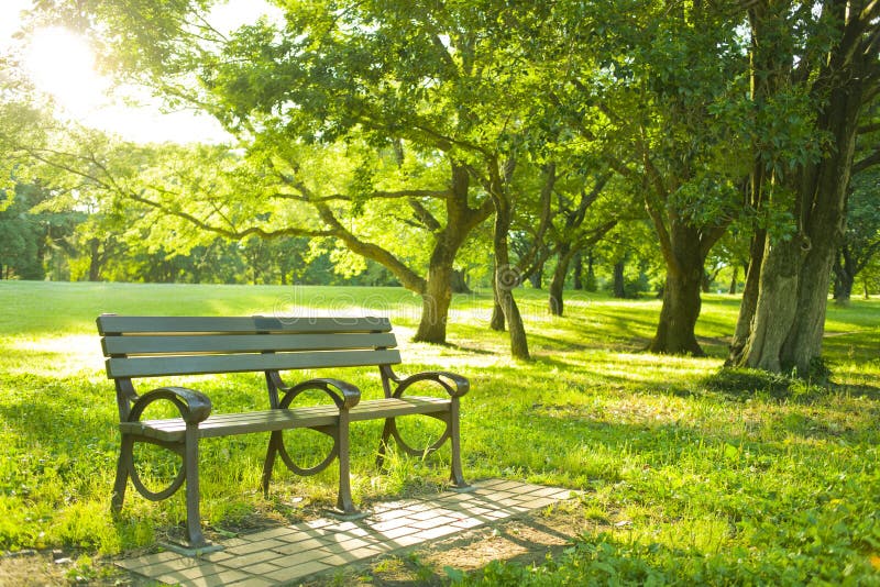 Park bench stock photo. Image of pasture, renewable - 263995104