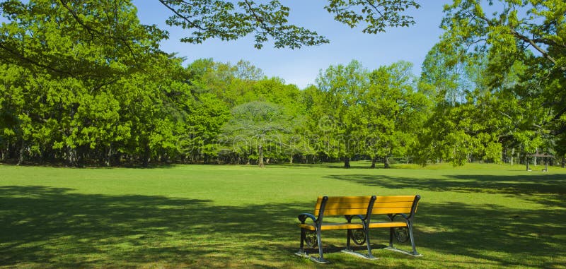 Park bench stock image. Image of blue, plant, woodland - 263995739