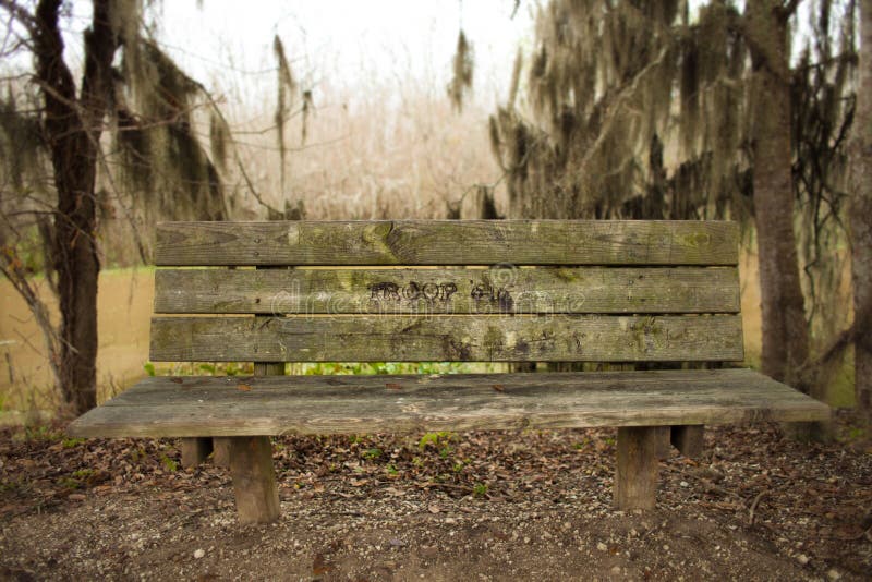 Park Bench in National Park Stock Photo - Image of troop, national ...