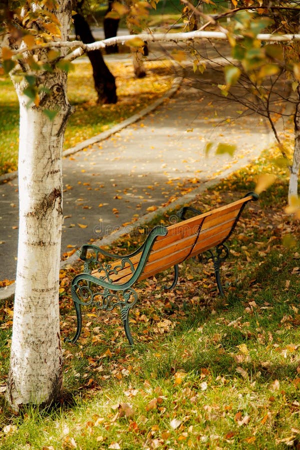 Park bench in nature stock photo. Image of peaceful - 180108330