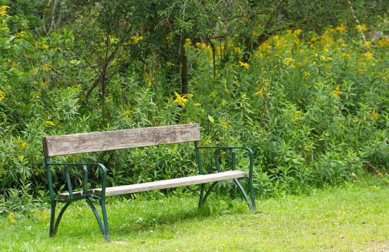 Park bench in nature stock image. Image of wood, spring - 38863391