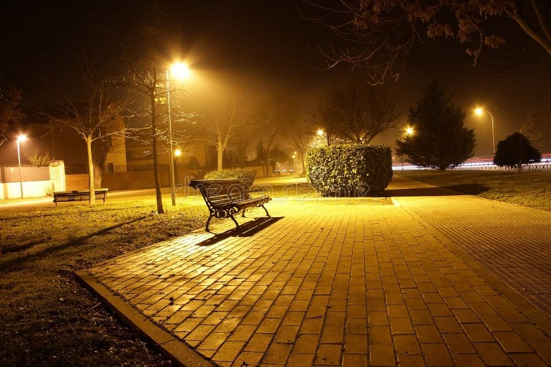 Night alley stock photo. Image of background, garden - 40053150