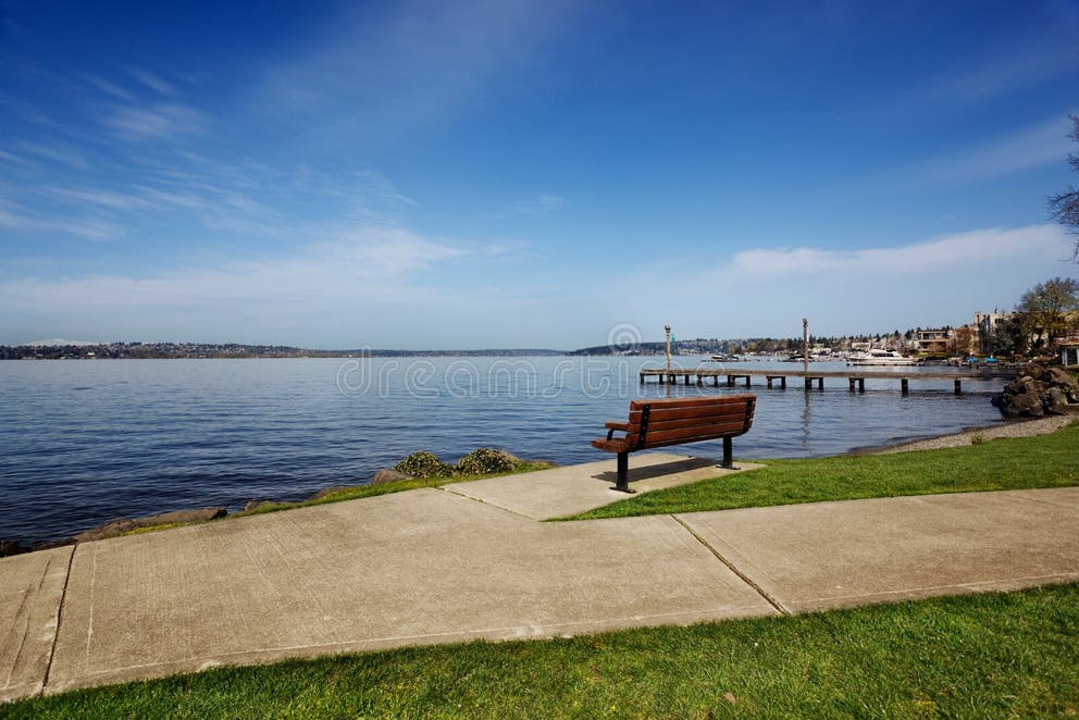 Park Bench Overlooking Lake Washington Stock Image - Image of lake ...