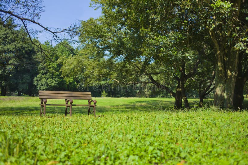 Park bench stock image. Image of meadow, turf, garden - 263995213