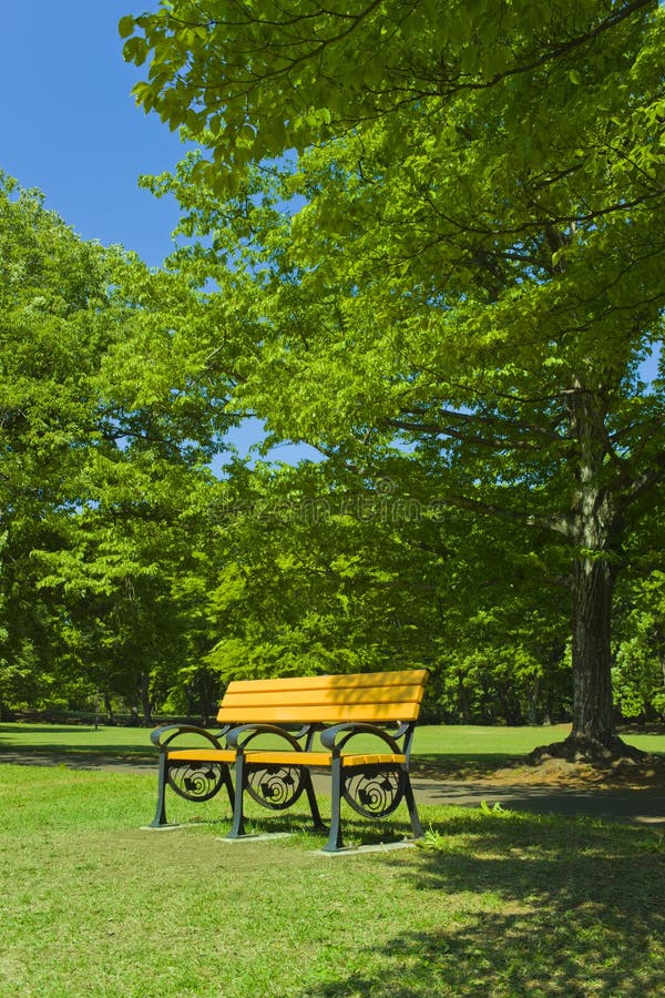 Park bench stock photo. Image of large, blue, flower - 264471404