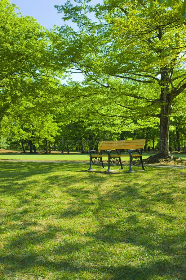 Park bench stock photo. Image of autumn, pasture, sdgs - 264471602