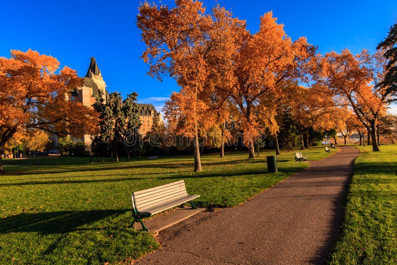 A Park with a Bench and a Path Stock Photo - Image of forest, autumn ...