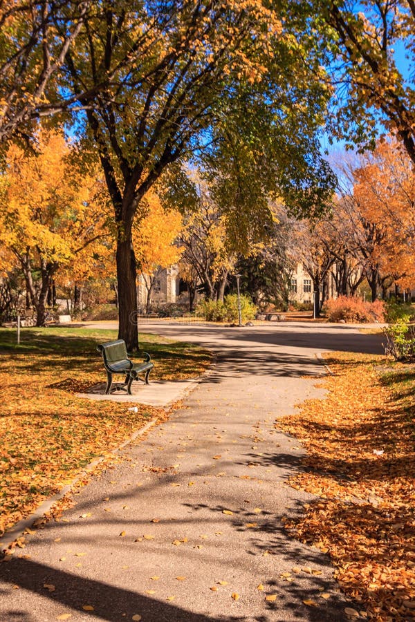 A Park with a Bench and a Path Stock Image - Image of bench, europe ...