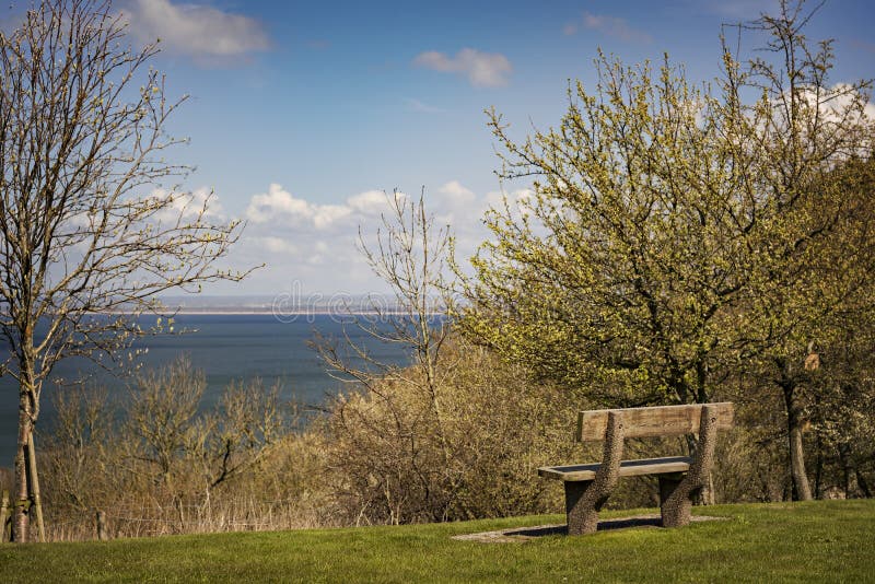 Park bench at rest stop stock photo. Image of bench, resting - 91602436