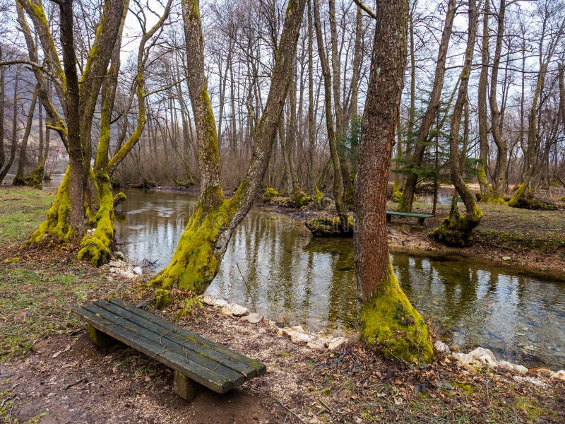 Park stock photo. Image of scenic, bench, unspoiled, nature - 55819388