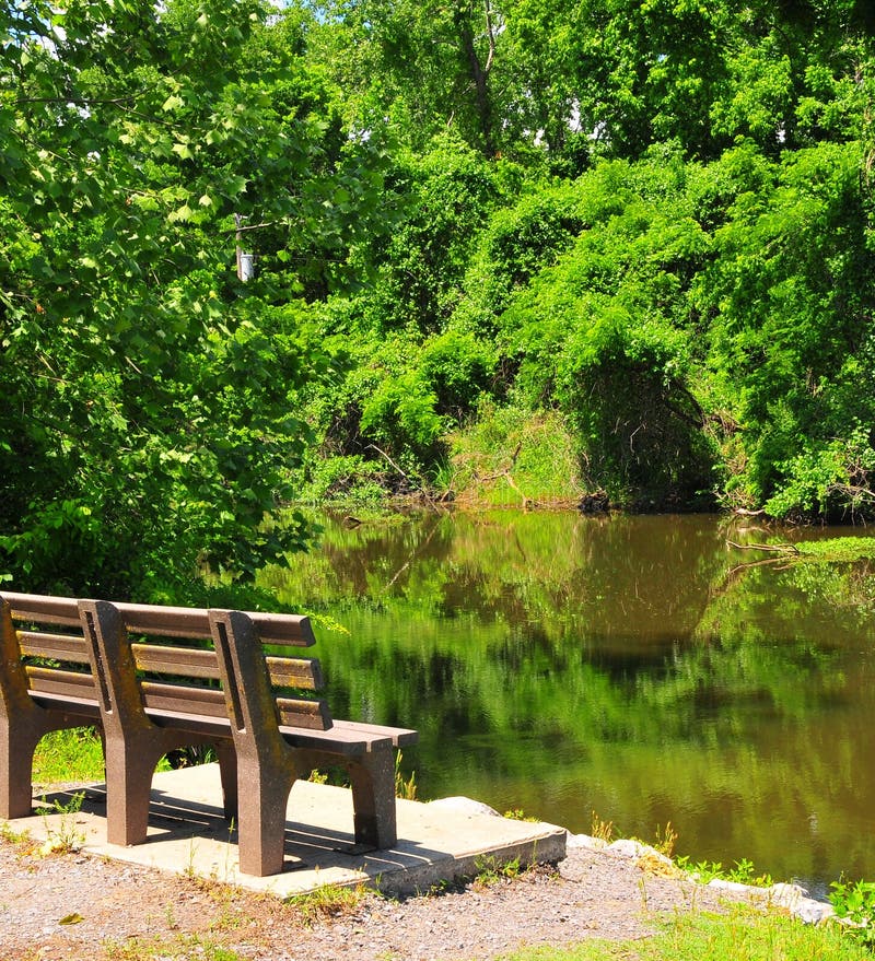 Park Bench on River at Horton Slough Stock Image - Image of river ...