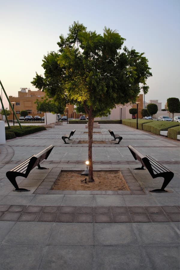 Park Bench Rows, Spot Light on Trees, Perspective View Stock Photo ...