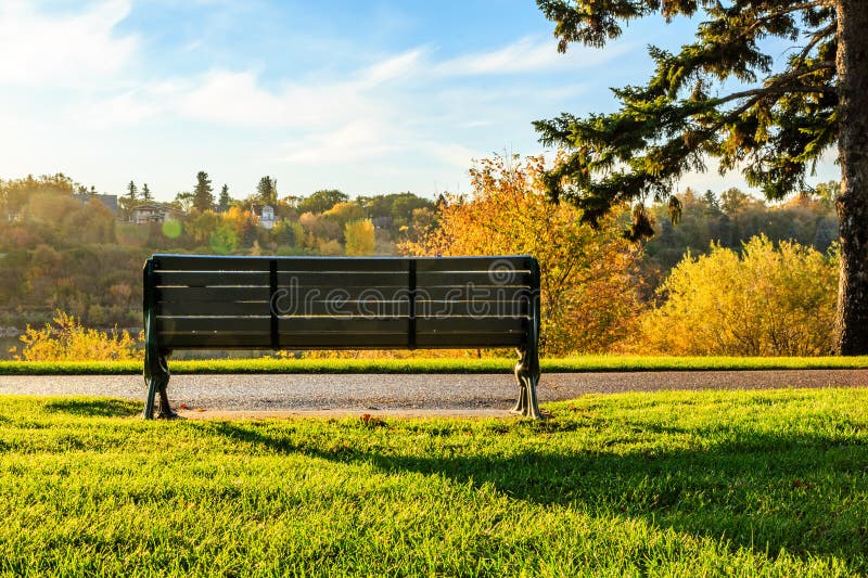 A Park Bench Sits in a Grassy Field with a View of the City Stock Photo ...