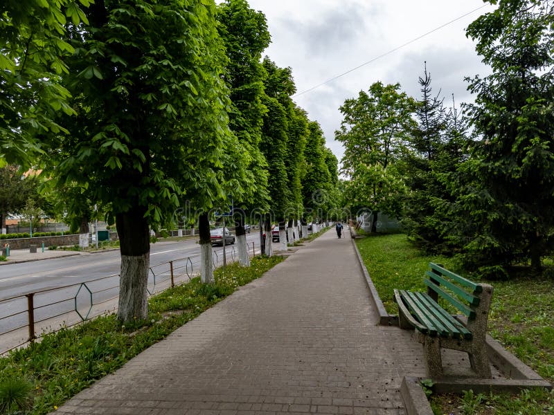 Park Bench Sitting Side Road Next Sidewalk Stock Photos - Free ...