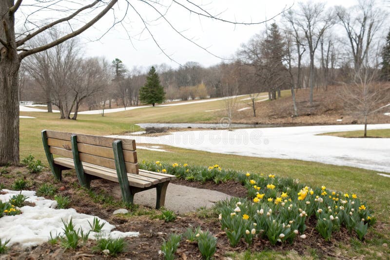 Park Bench in Spring Park with Snow in the Background Stock ...