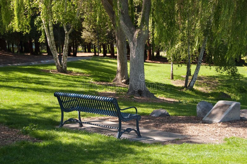 Park Bench on a Sunny Afternoon Stock Photo - Image of willow, bright ...
