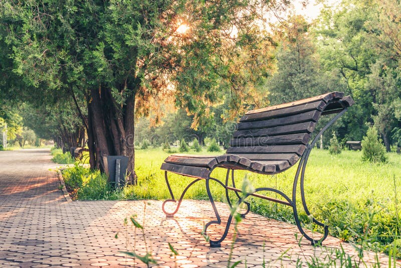 Park Bench at Sunset stock image. Image of dotage, autumnal - 168821711
