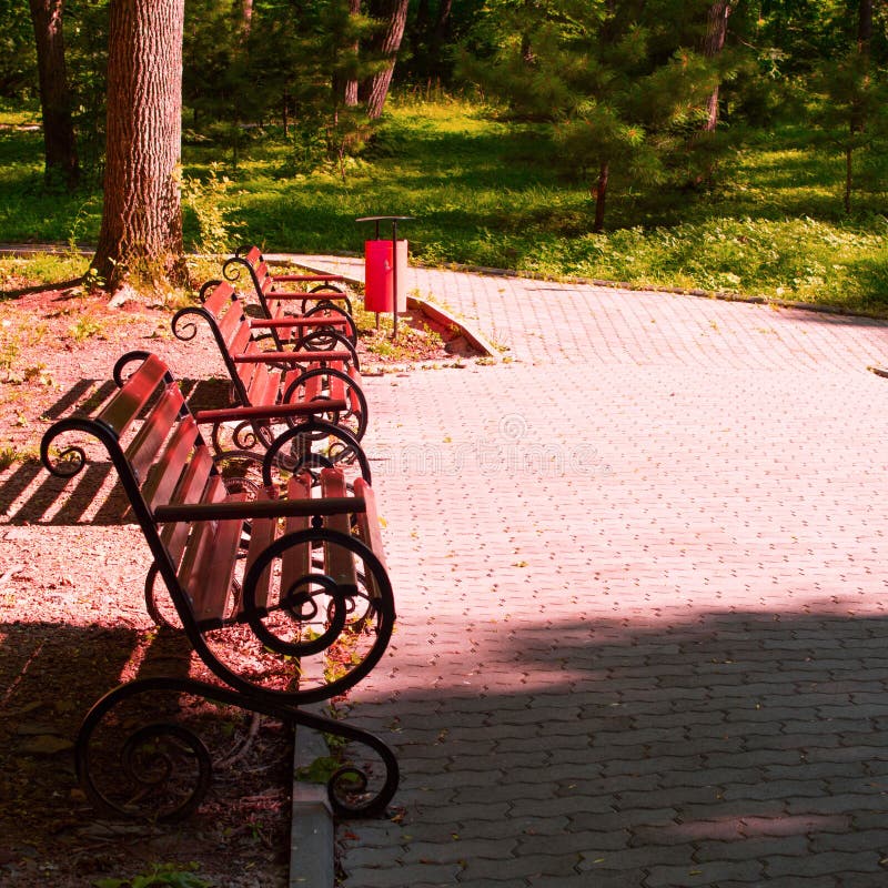 Park bench at sunset stock photo. Image of background - 97736428