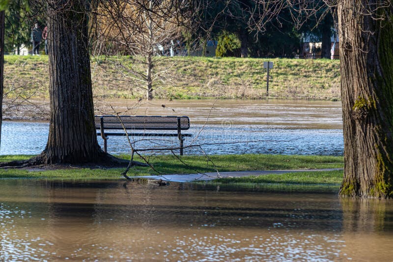A Park Bench Surrounded by Flood Water Stock Photo - Image of lake ...