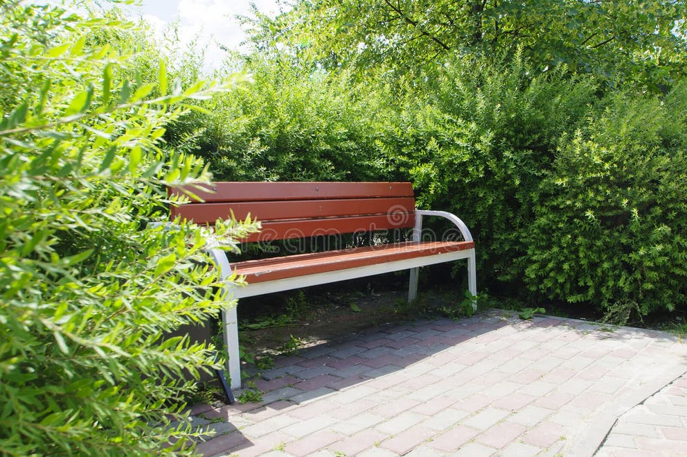 Park Bench Surrounded by Green Shrubs Stock Photo - Image of sitting ...