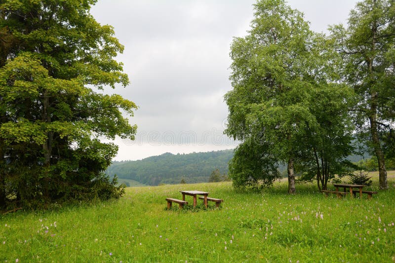 Park Bench and Table in Green Nature Stock Image - Image of time, bench ...