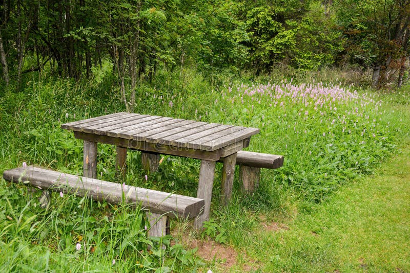Park Bench and Table in Green Nature Stock Photo - Image of meadow ...