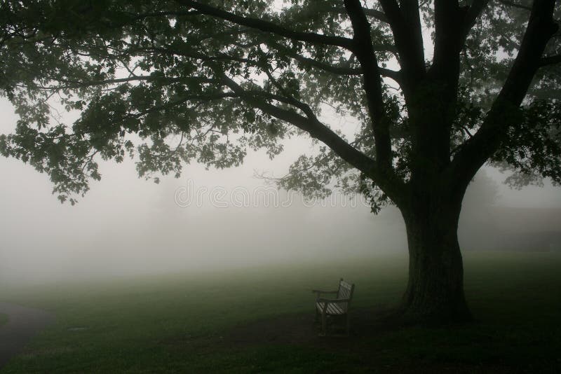 Park bench and Tree stock image. Image of bench, virginia - 11406583