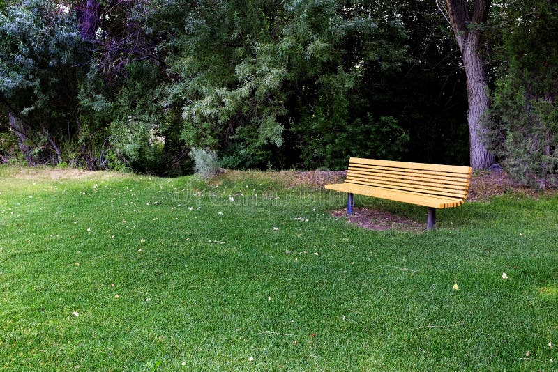Park Bench with Trees in Area To Rest Stock Photo - Image of grass ...