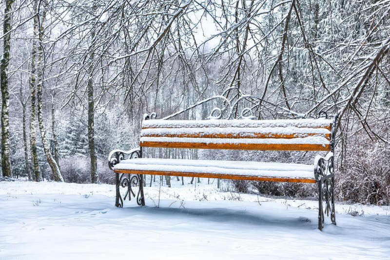 Park Bench and Trees Covered by Heavy Snow Stock Photo - Image of ...