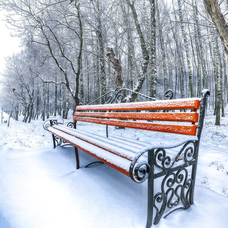 Park Bench and Trees Covered by Heavy Snow Stock Image - Image of ...