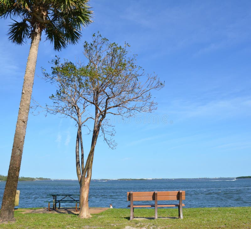 Park Bench and Trees and River Water Stock Image - Image of bench ...
