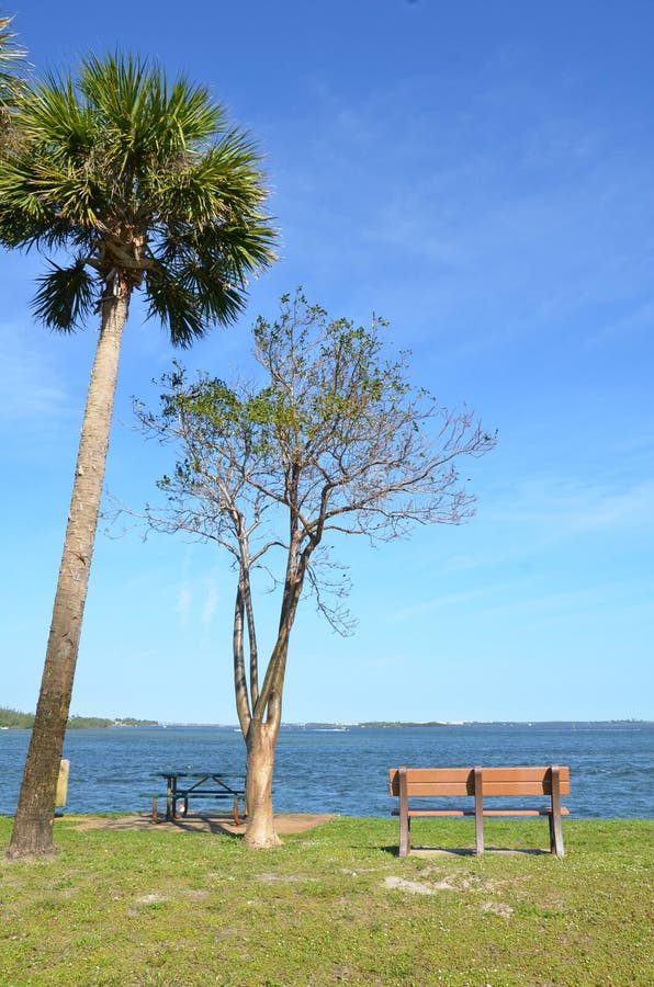 Park Bench and Trees and River Water Stock Photo - Image of park, bench ...