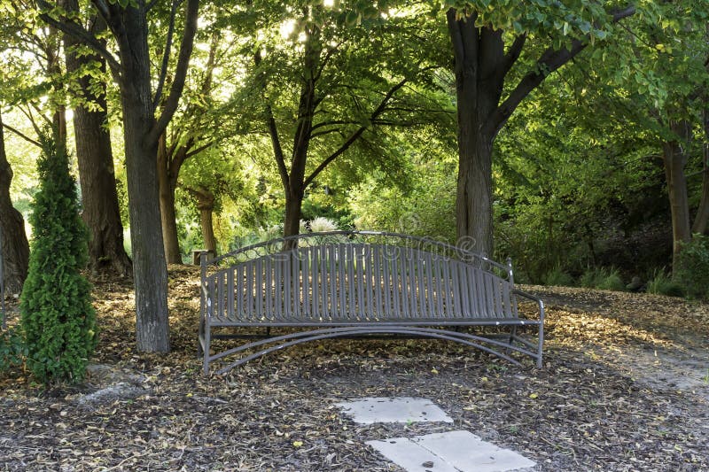 Park Bench in the Trees Sunlit Trees Stock Photo - Image of trail ...