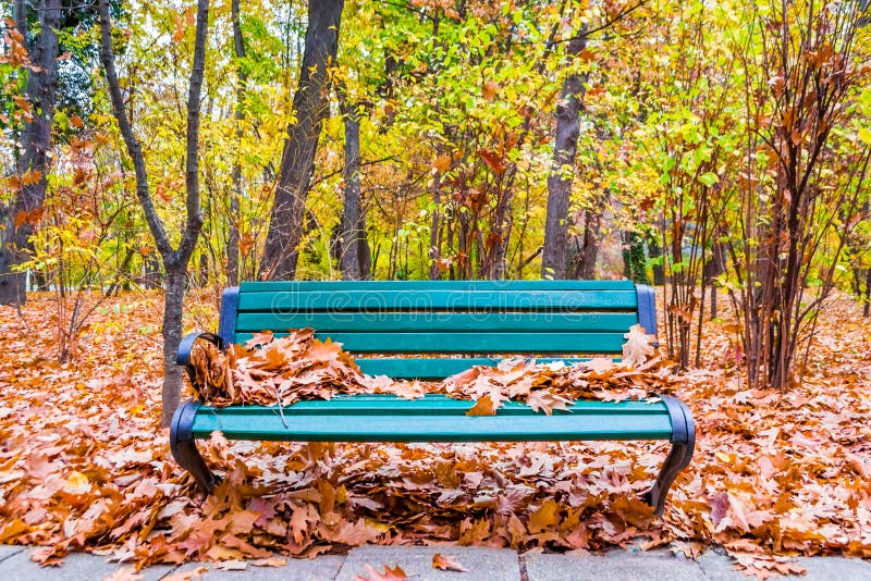 Park Bench Under Fall Cover Stock Photo - Image of scenic, green: 130633060
