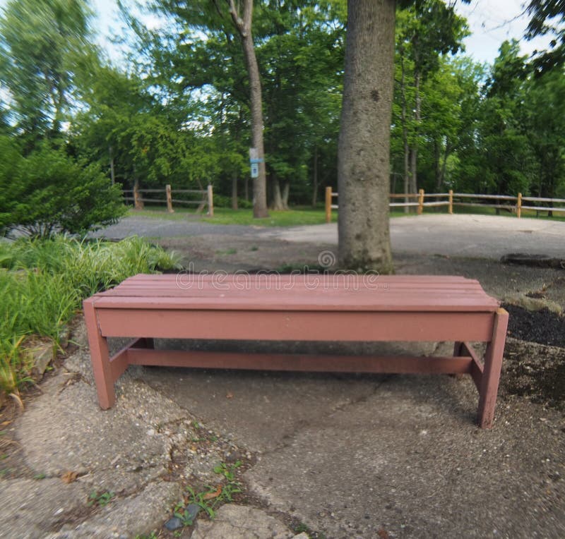 The Park Bench is Under the Tree. Stock Image - Image of park, bench ...