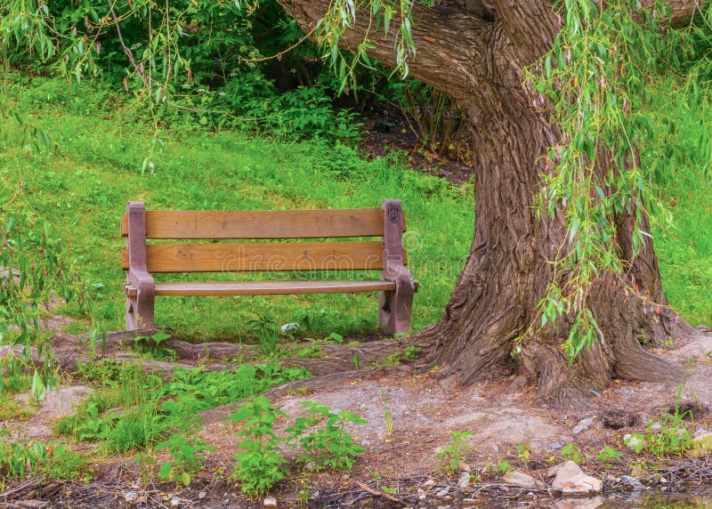 Park Bench stock photo. Image of summer, scene, relaxing - 47819368