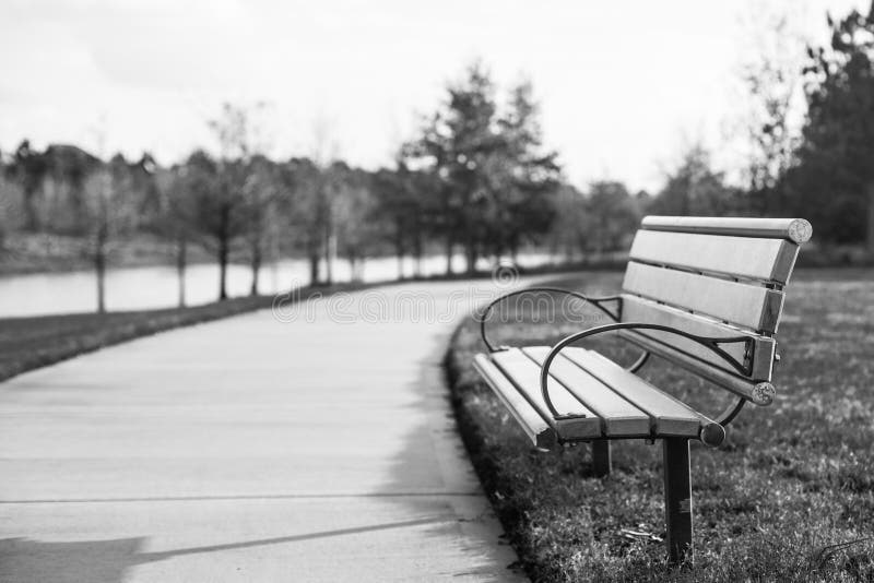 Park Bench stock image. Image of grass, empty, curved - 83166489