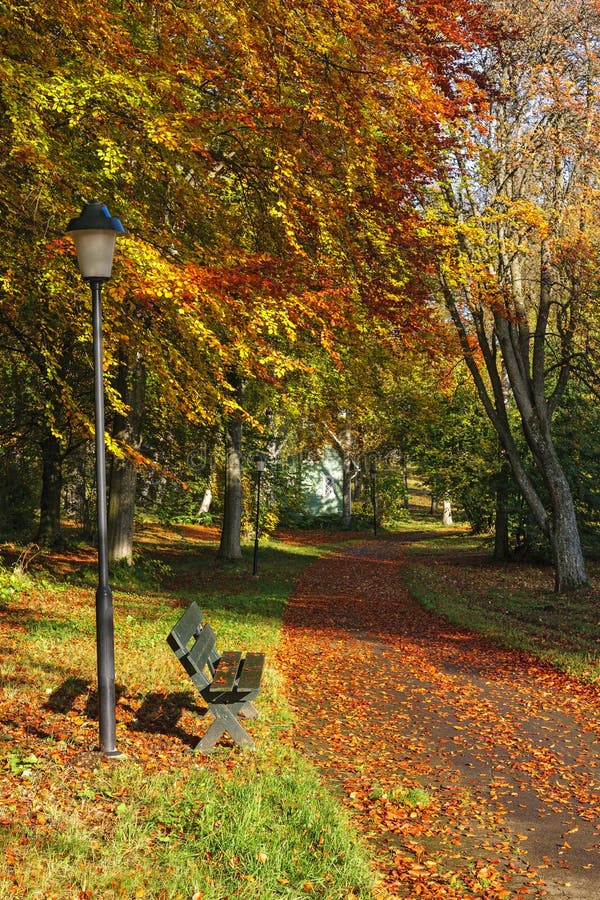Park Bench at a Walking Path Stock Photo - Image of lush, pathway: 77974700
