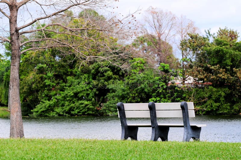Park Bench by the Water stock photo. Image of creative - 23886978
