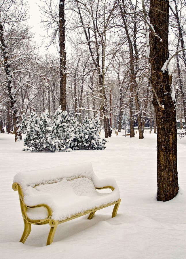 Park Bench in the winter stock photo. Image of gray, park - 83229374