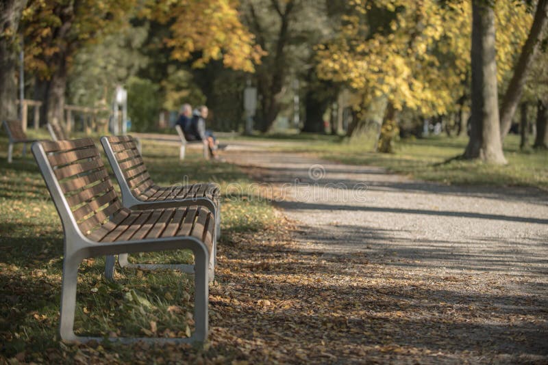 Park benches in fall stock image. Image of chair, vacant - 161303389