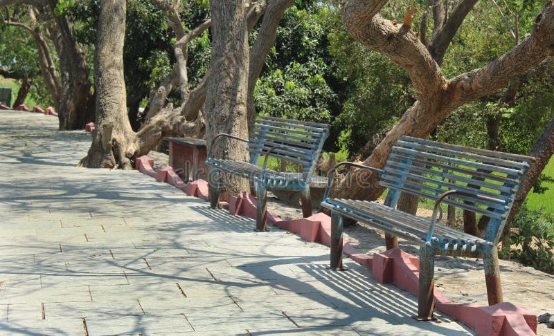 Park benches landscape stock photo. Image of group, nature - 69332212