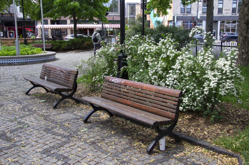 Park Benches in a Montreal Park Editorial Photography - Image of travel ...