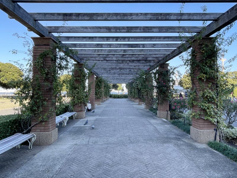Park with Brick Columns with Roses in Japan Stock Photo - Image of ...