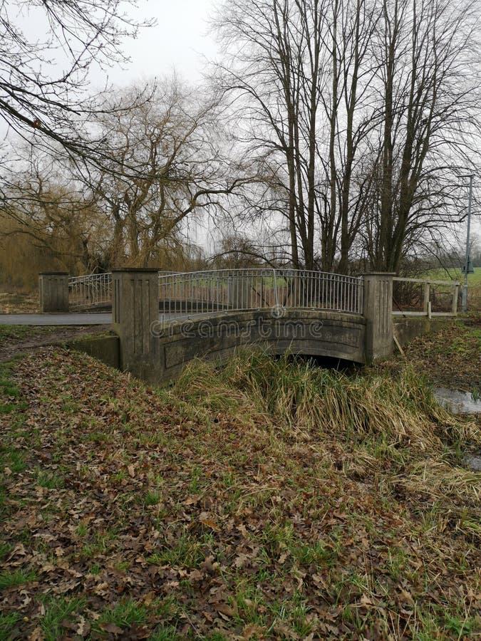 The Park, Bridge, Picturesque, Trees, Park, Saturday Morning Stock ...