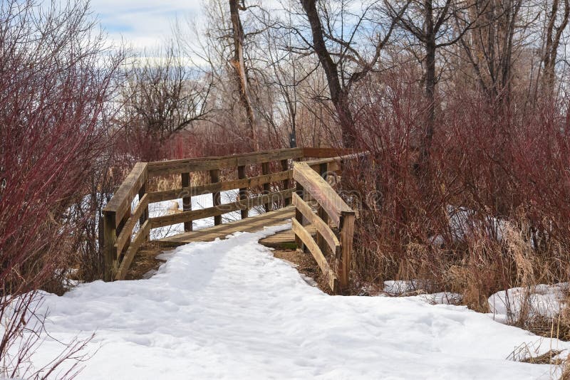 Park Bridge in Winter stock photo. Image of grey, deck - 94888922