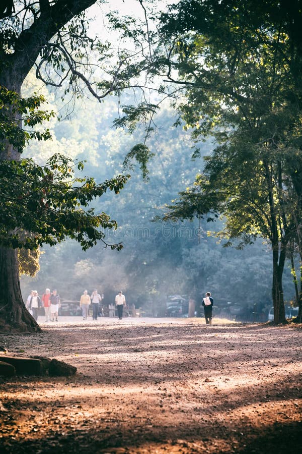 Kher Tree Stock Photos - Free & Royalty-Free Stock Photos from Dreamstime