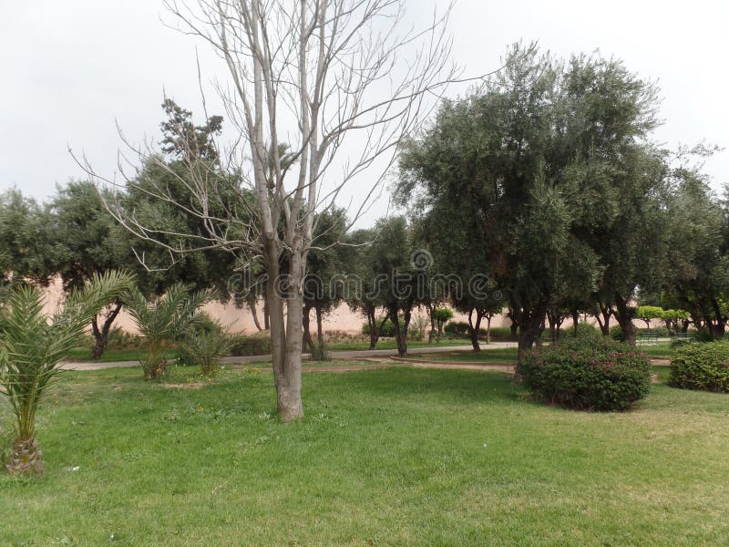Park in Central Marrakech, Morocco Stock Photo - Image of outdoor ...