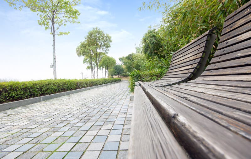 Park chair stock photo. Image of path, grass, plant, outdoor - 18618884