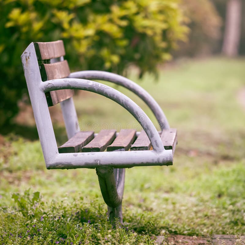 Park chair stock image. Image of chair, seat, natural - 45814849